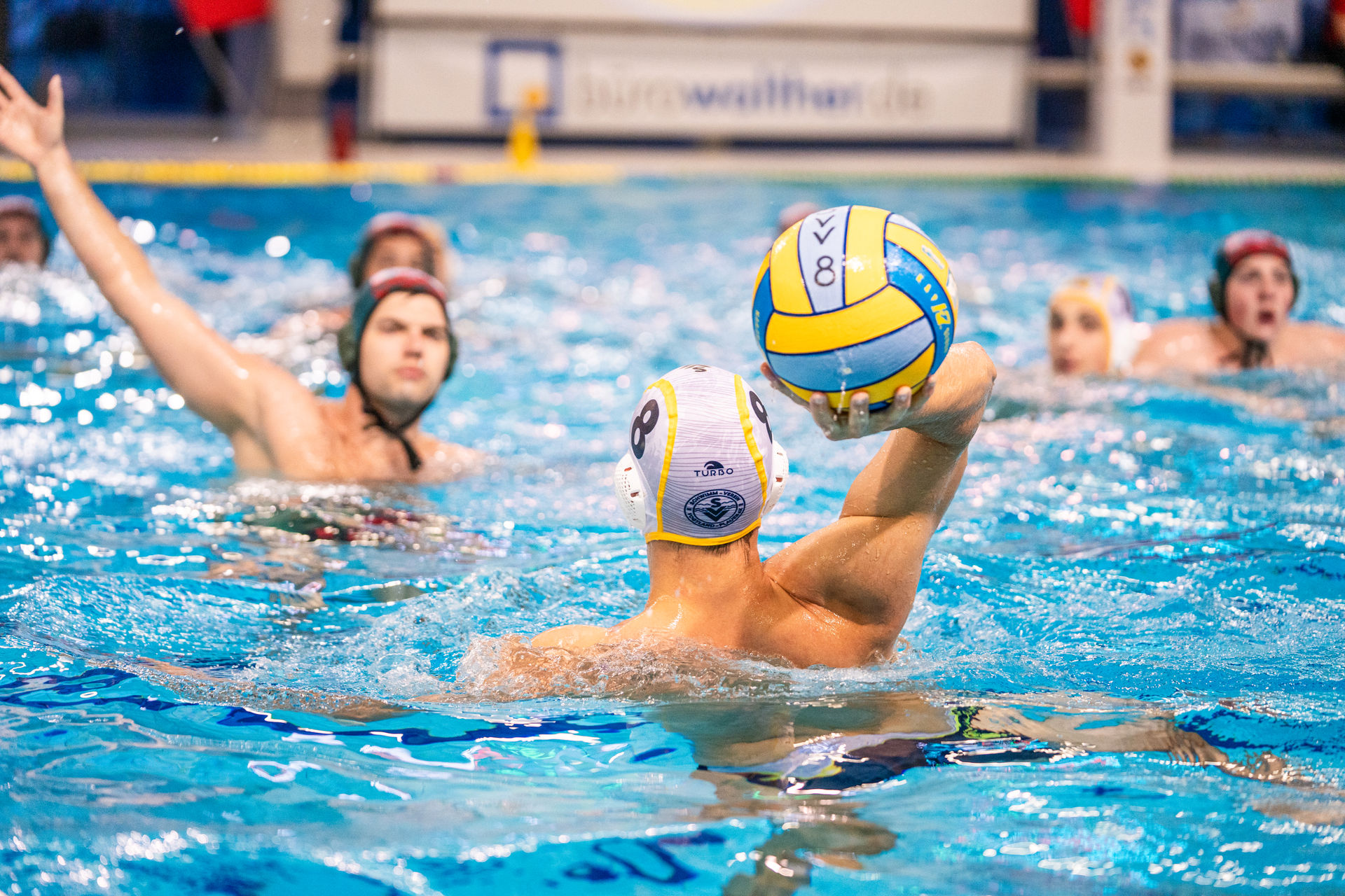 Plauen gewinnt gegen SSVE – Wasserballecke – Aktuelle News, Themen und ...